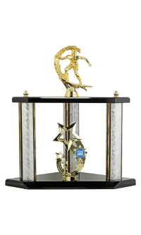 Poster Set - 3 Column - aurorasigns