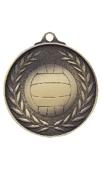 Netball Antique Gold - aurorasigns